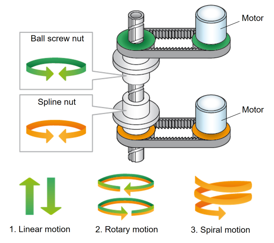 What is the difference between ball spline and ball screw? - ALM